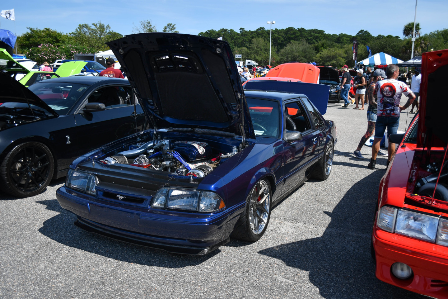 Five Fun Ford Mustangs From Mustang Week